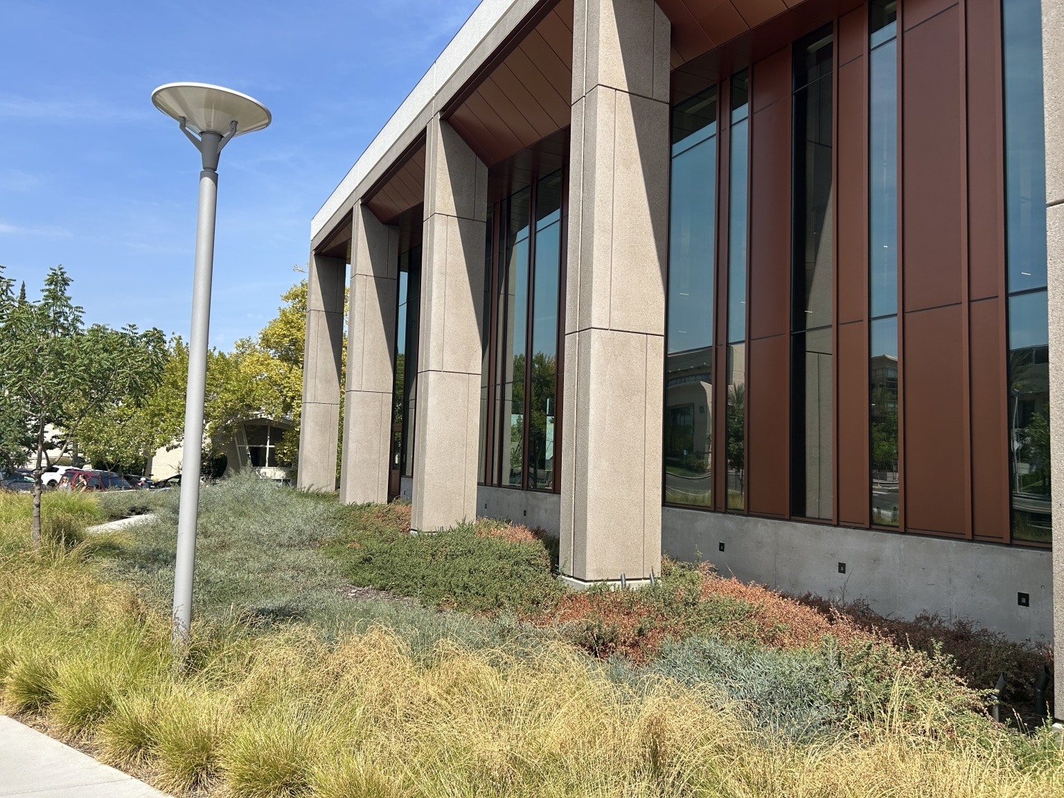 Witnesses describe alleged domestic violence, searches, welfare checks ...