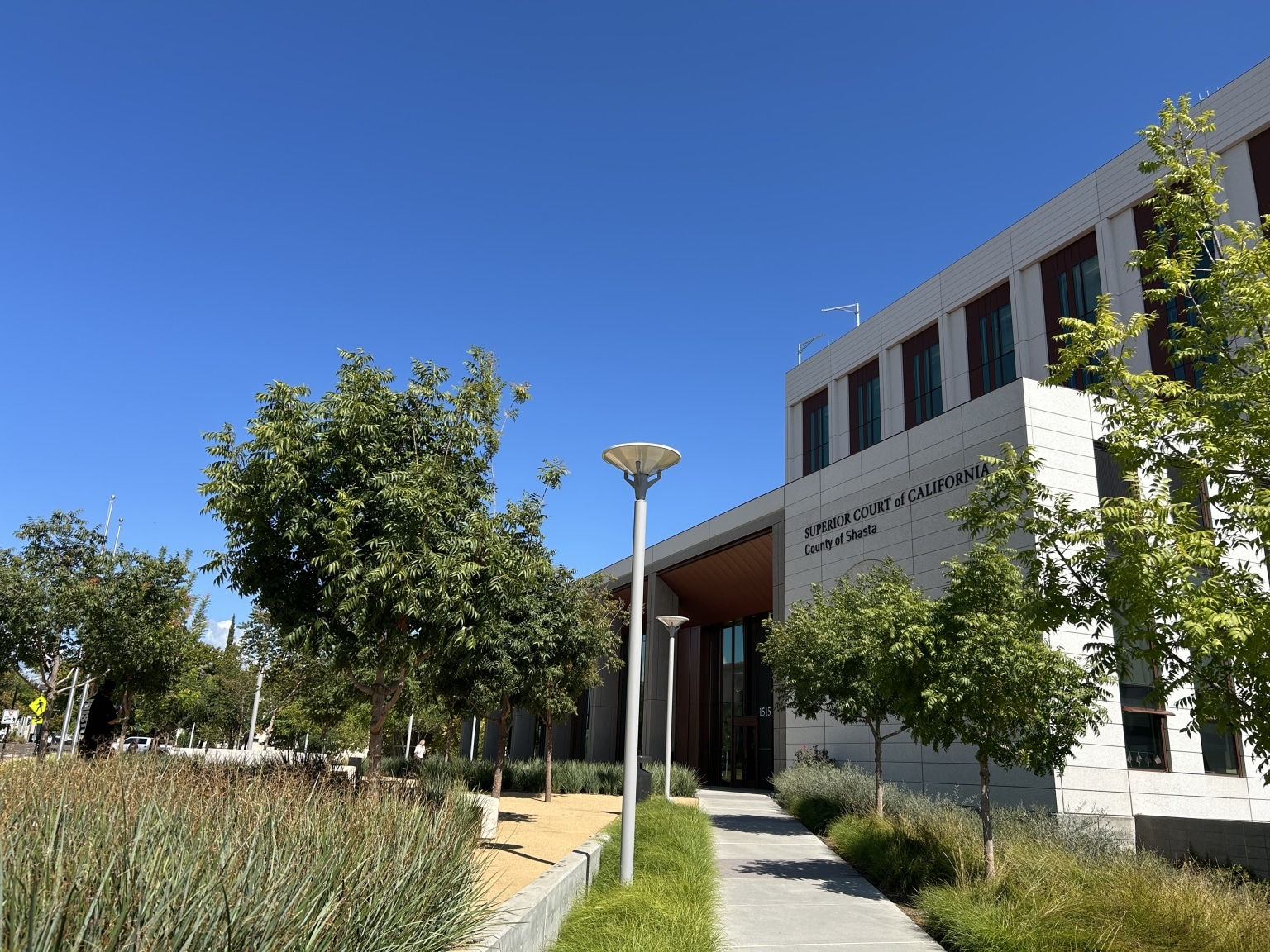 New witness in Tyler McCain case alleges relationship with Nikki Cheng ...