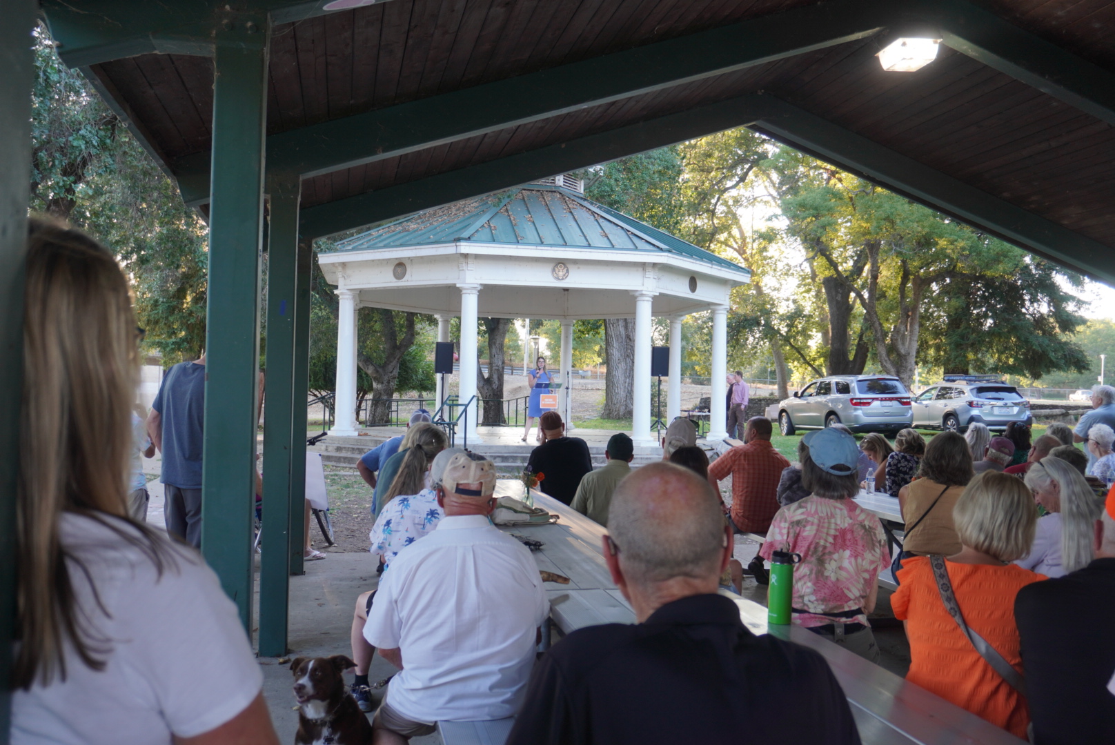 Francescut holds campaign kickoff. She hopes to win Shasta's top ...