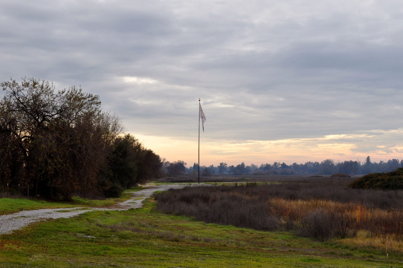 Board of Supervisors appeals court decision over 2023 county contract ...