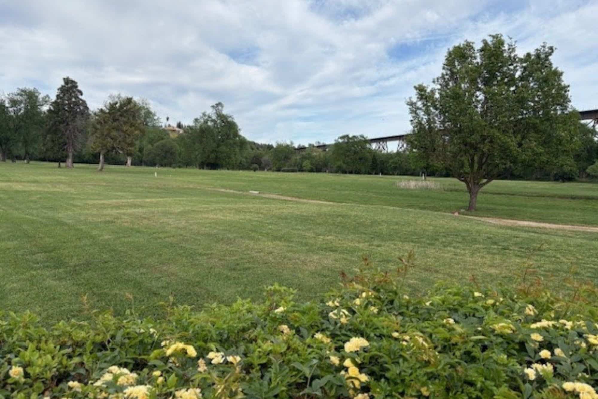 Lake Redding Golf announces reopening and new driving range – Shasta Scout